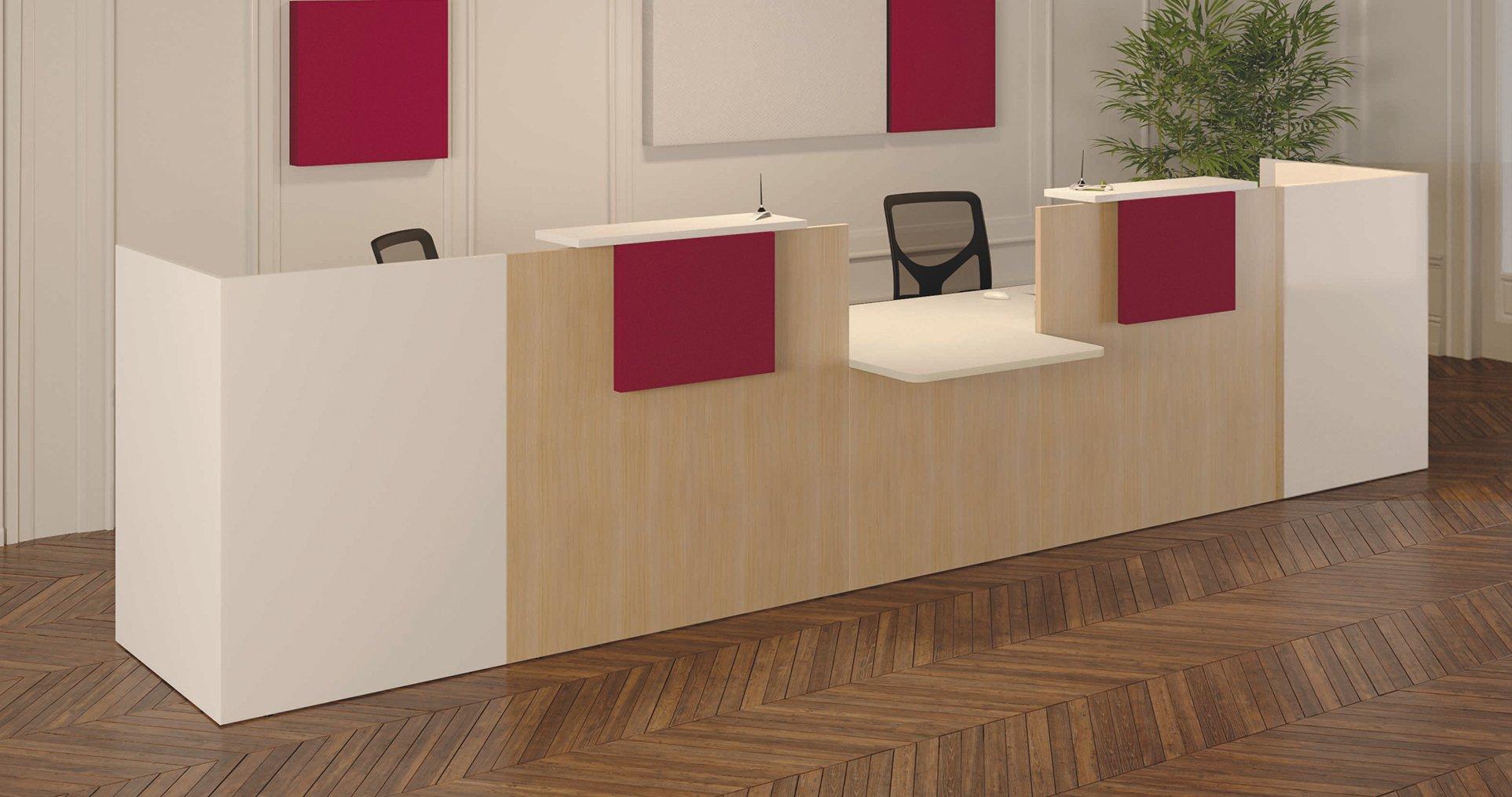 Banque d'accueil PMR Pinet